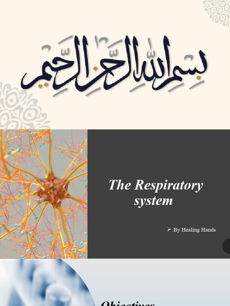 The Respiratory System 3 | PDF | Respiratory Tract | Respiratory System