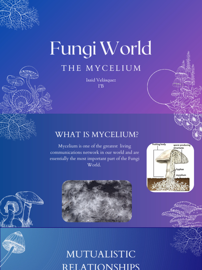 Fungi World | PDF | Fungus | Mycology