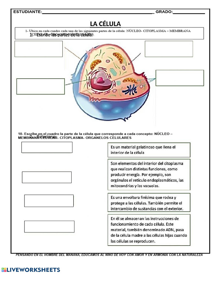 Celula 2 | PDF | Historia | Libros para adolescentes