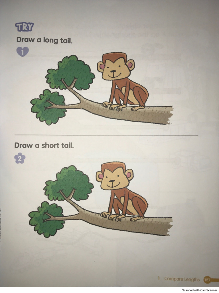 Math Book | PDF