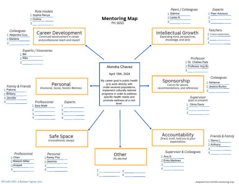Mentoring Map Fillable 3 1 | PDF | Education Theory | Organizational Behavior