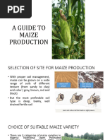 MAIZE Spray Program FINAL | PDF | Maize | Weed