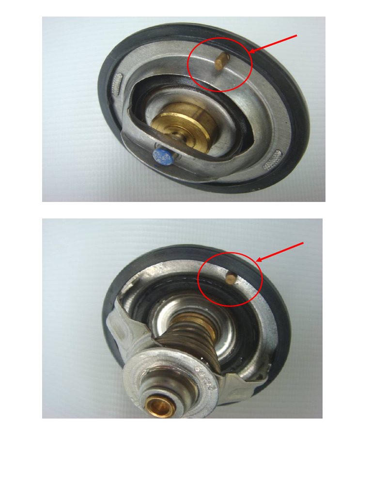fC74068 - Thermostatic Valve FPT Engines | PDF