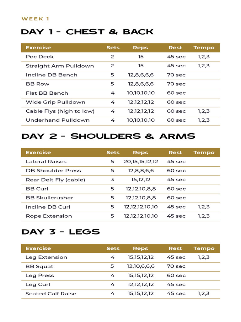 Aesthetic Body Program | PDF | Weight | Physical Exercise