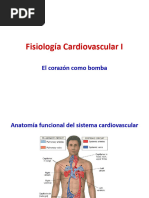 Precarga y Poscarga Cardiaca - Homo Medicus | PDF | Corazón | Sistema ...