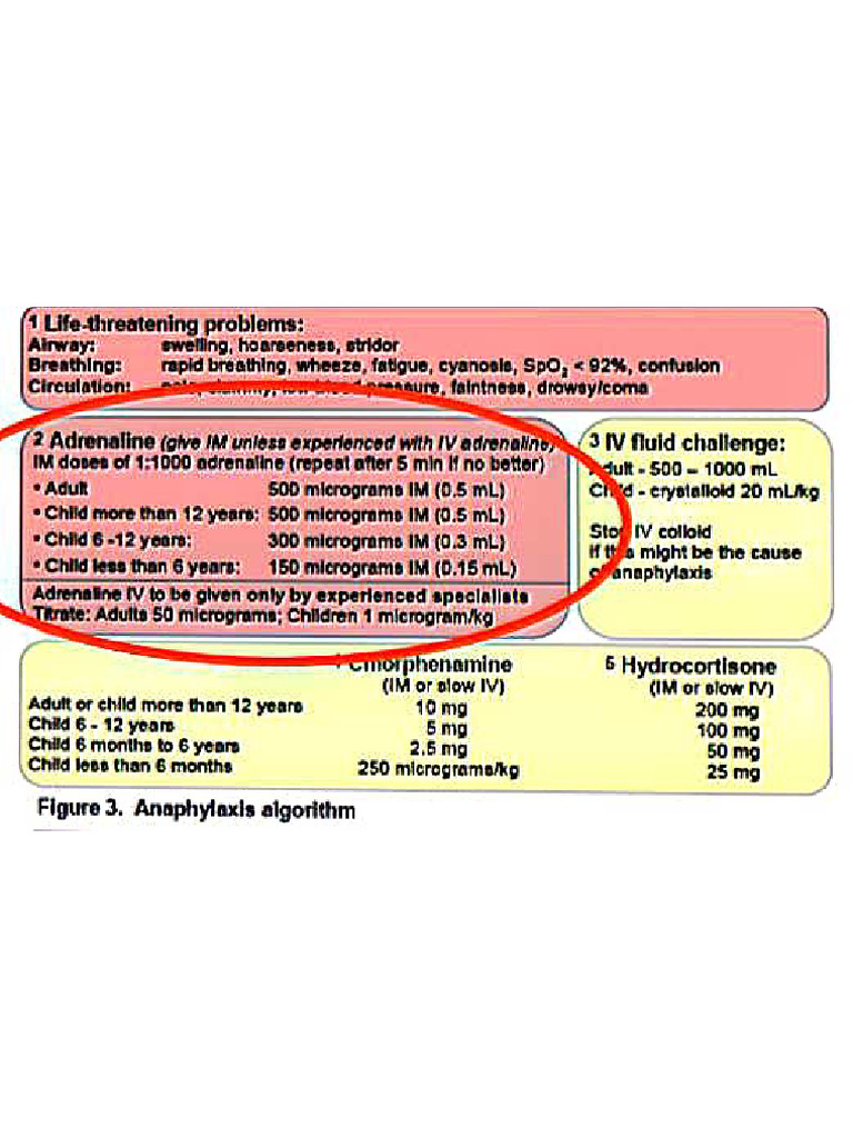 Scanned Photos | PDF