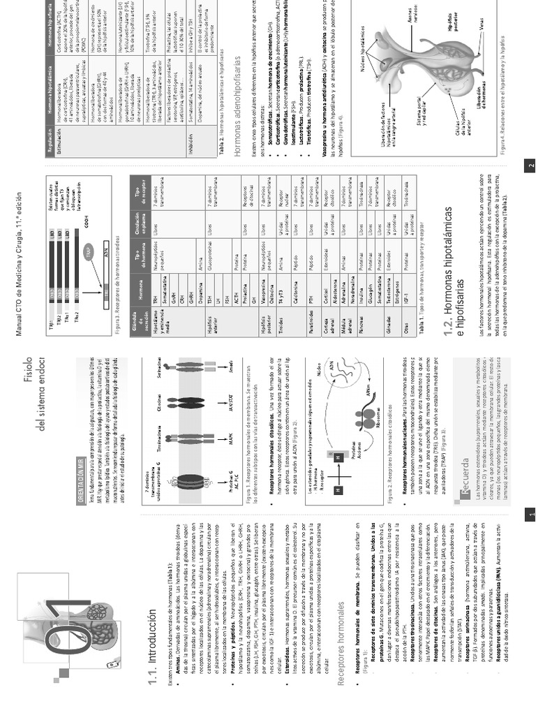 Manual Cto Medicinaycirugía | PDF
