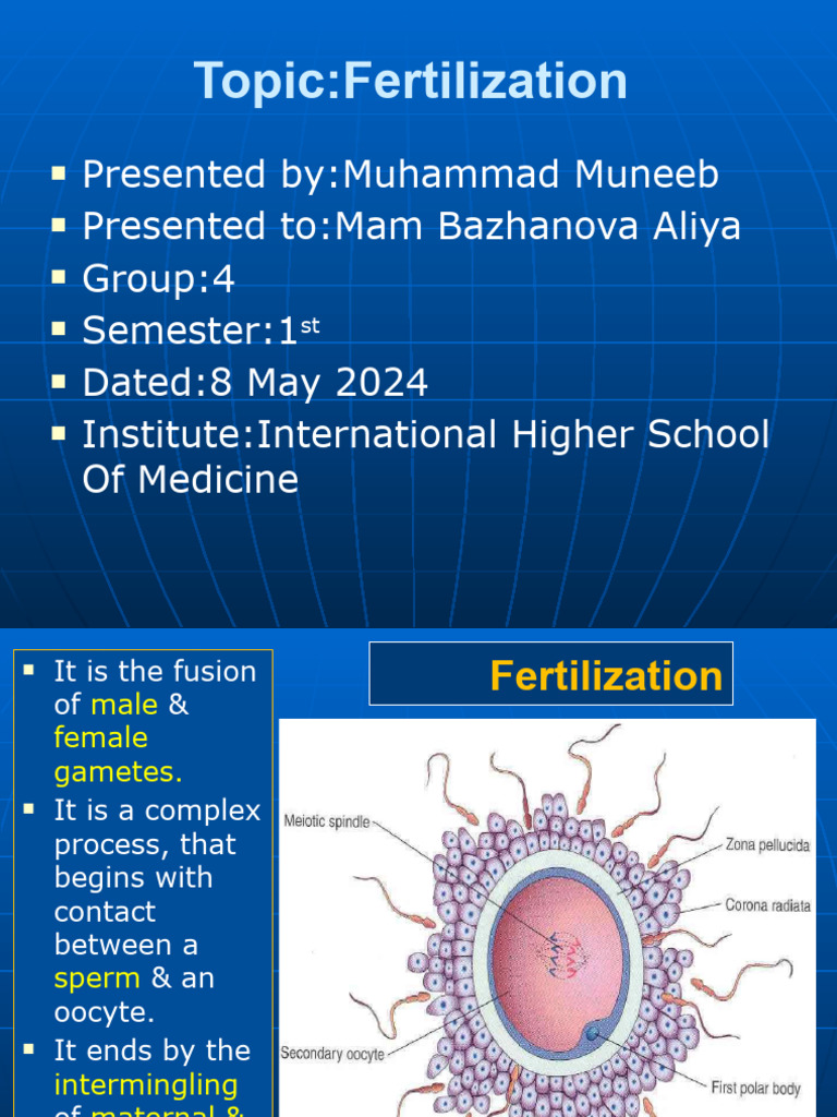 Fertilization | PDF | Fertilisation | Biological Interactions