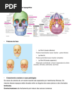 Anatomia Topográfica da Face: Estruturas e Funções | PDF | Cabeça e ...