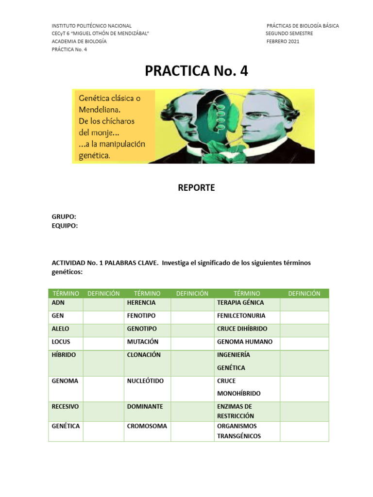 BB Pract 4 Reporte | PDF | Dominancia (Genética) | Gene