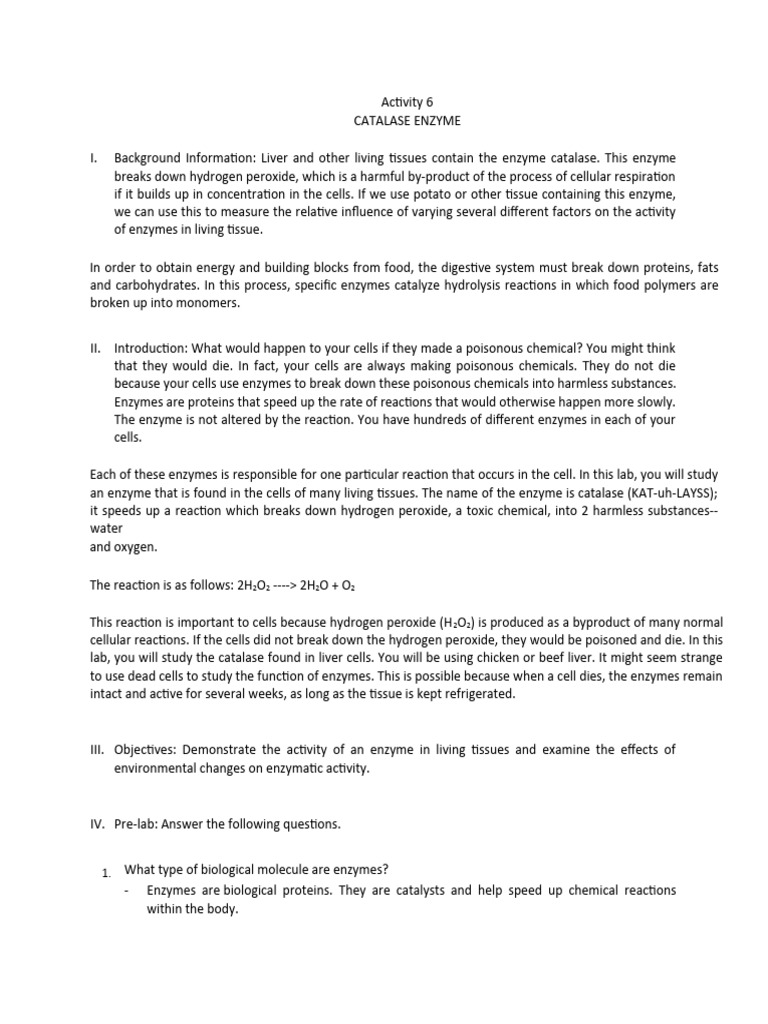 Activity 6. Catalase Enzyme | PDF | Enzyme | Catalase