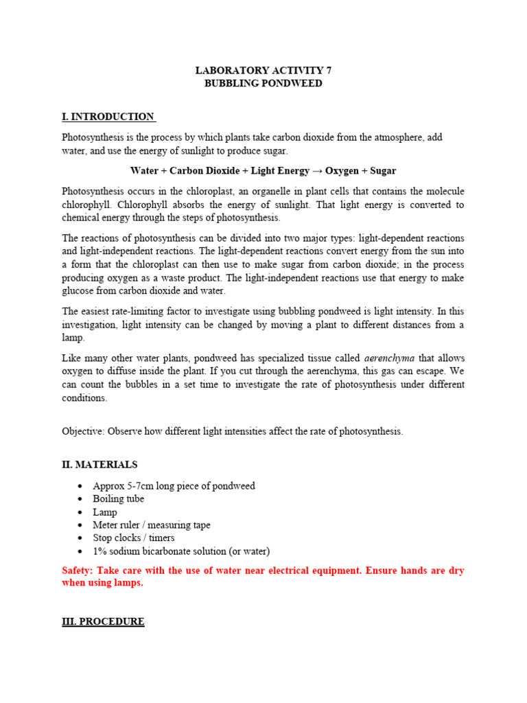 Activity 7. Photosynthesis | PDF | Photosynthesis | Carbon Dioxide