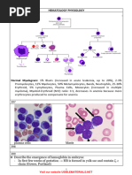 Pixorize Biochemistry Overview | PDF