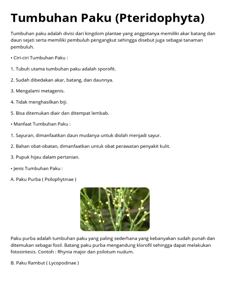 Jenis-Jenis Tumbuhan Paku dan Manfaatnya | PDF | Griya & Taman ...
