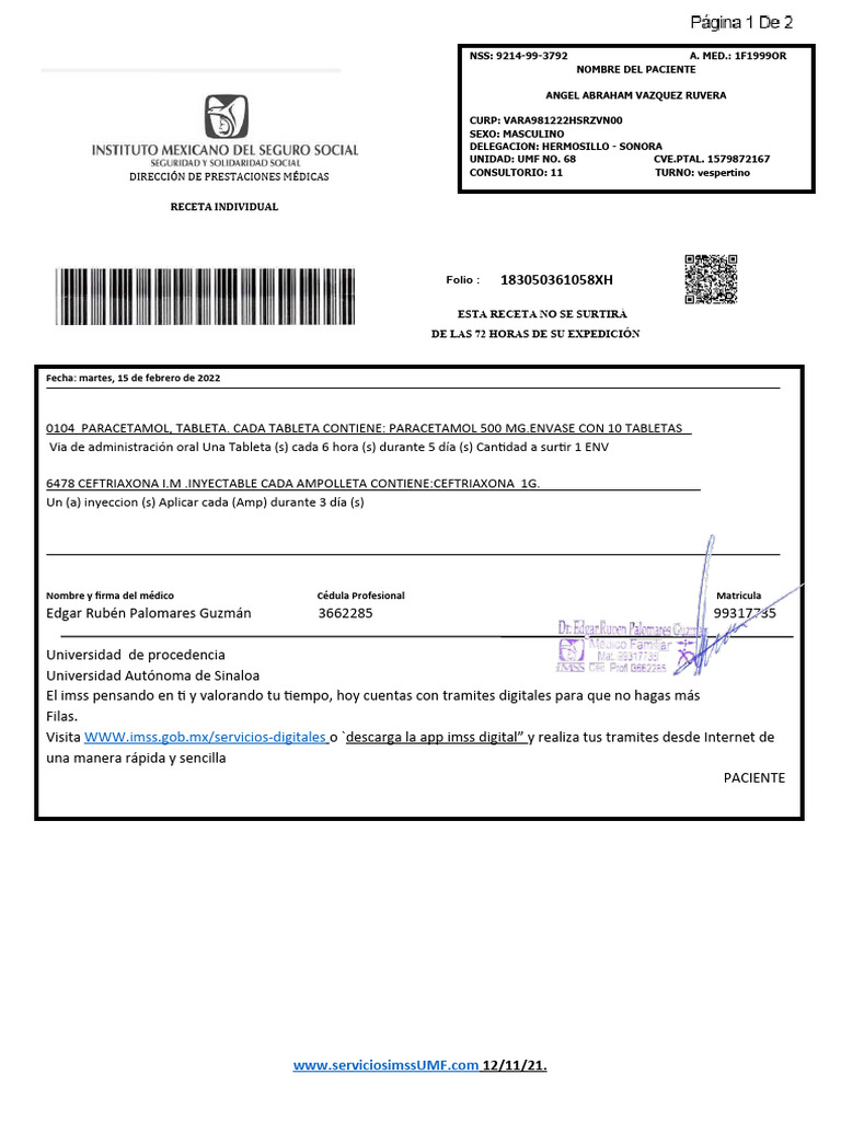 Formato Seguro | PDF