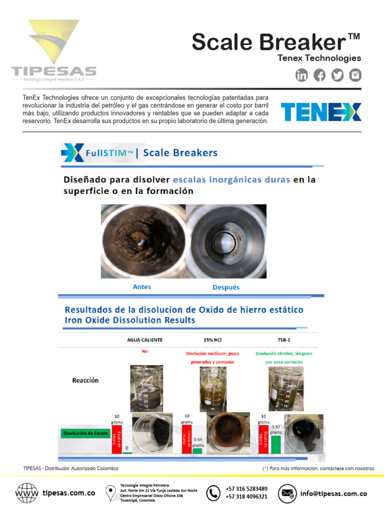 Flyer ScaleBreaker - Español | PDF | Geología económica | Paleontología ...