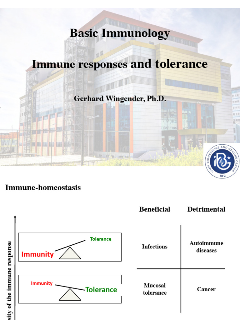 7 - Immune Responses and Tolerance | PDF | Immune Tolerance | T Cell
