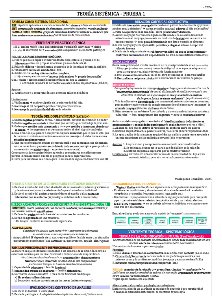 Resumen P1 Sistémica - 2024 | PDF | Sistema | Construccionismo social