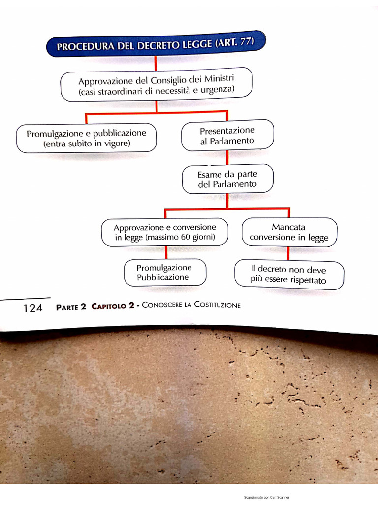 Schema Decreto Legge | PDF