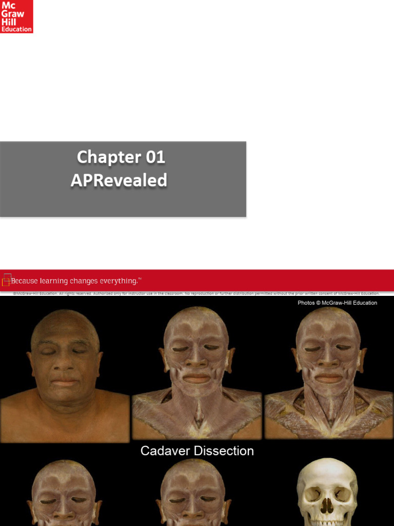 ch01 APR Lecture PPT | PDF | Radiology | Anthropometry