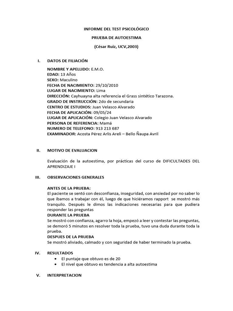 Modelos de Informe | PDF