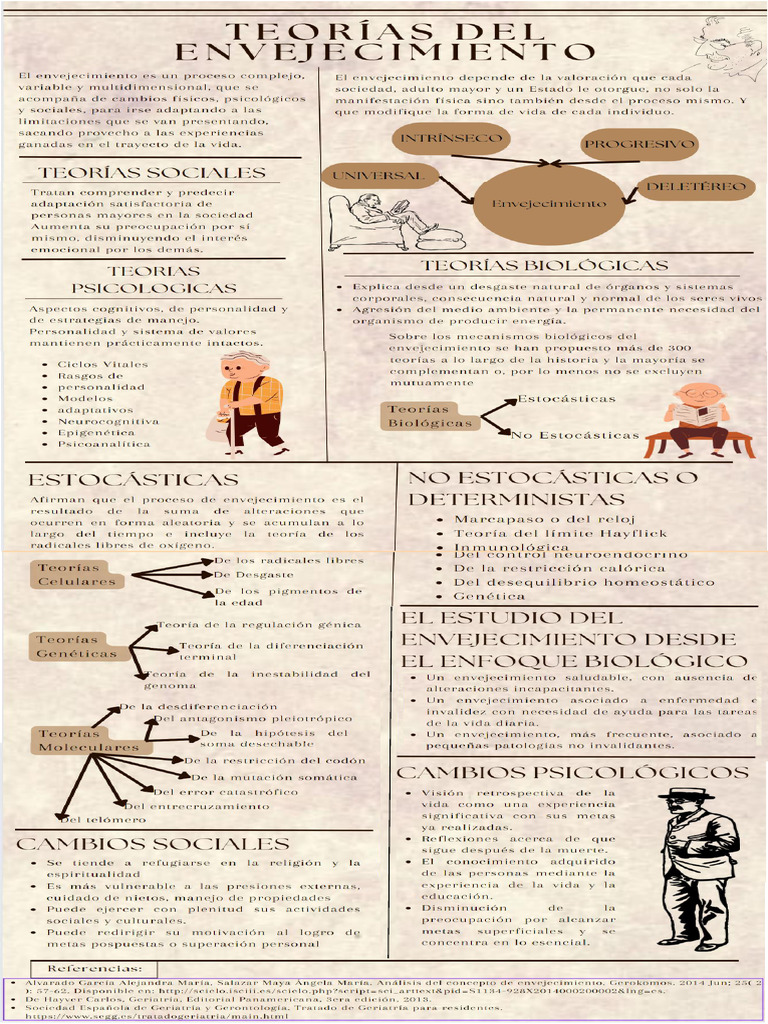 Infografia Teorias Del Envegecimiento Pdf