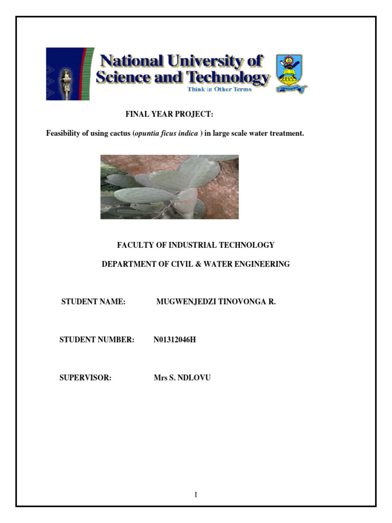 Project Final draftTINOVONGA R Final | PDF | Water Purification | Water