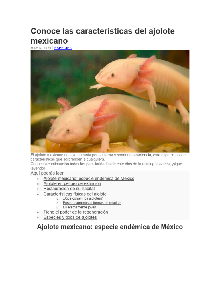 Conoce Las Características Del Ajolote Mexicano | PDF | Hogar ...