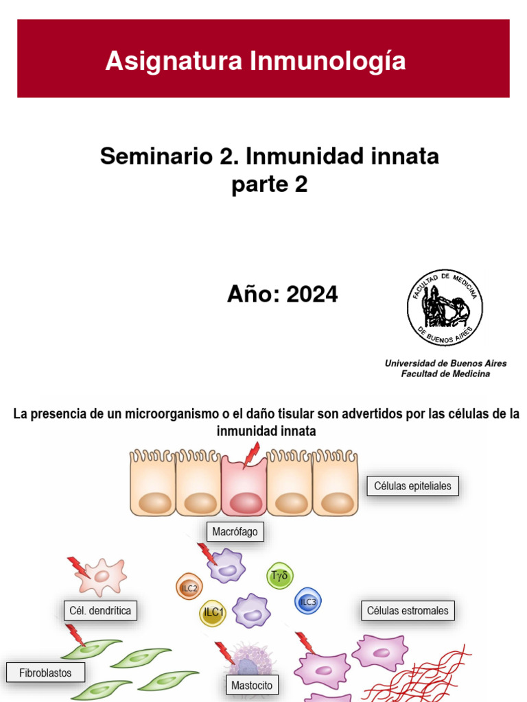 Seminario 2. Inmunidad Innata Parte 2. 2024. | PDF | Interferón | Sistema inmune
