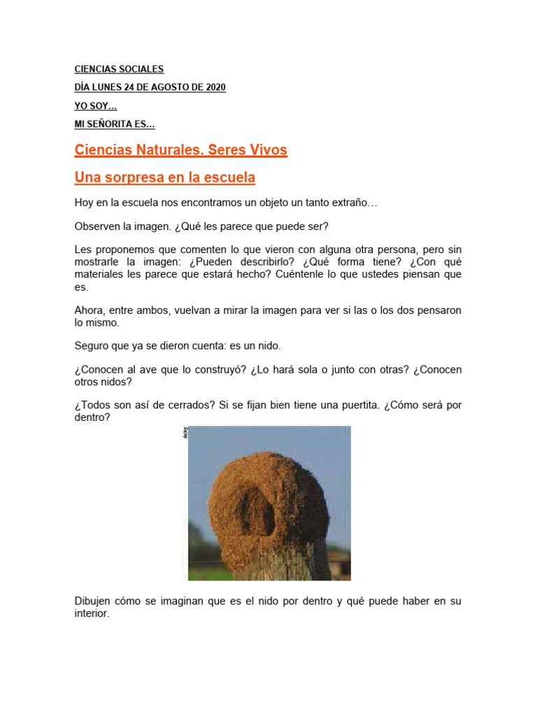 Ciencias Naturales | PDF | Ornitología | Aves