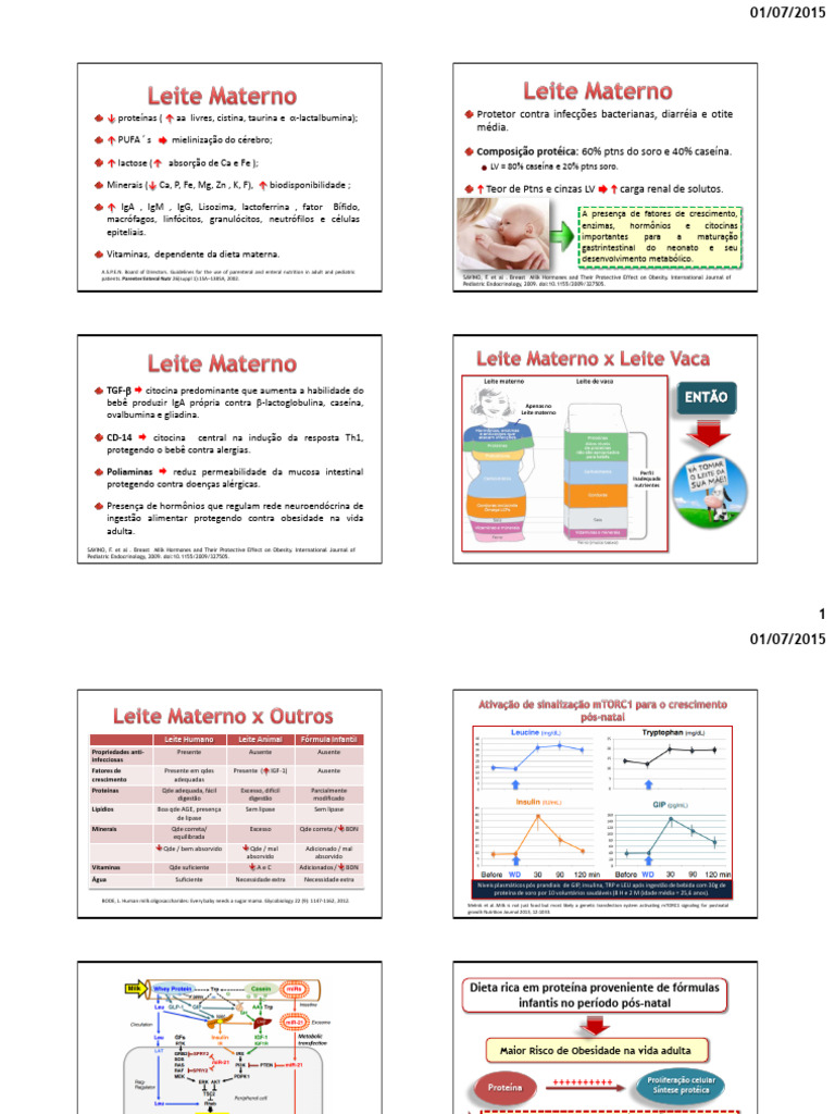 Aula Ciclos de Vida P2 | Download grátis PDF | Vitamina | Leite