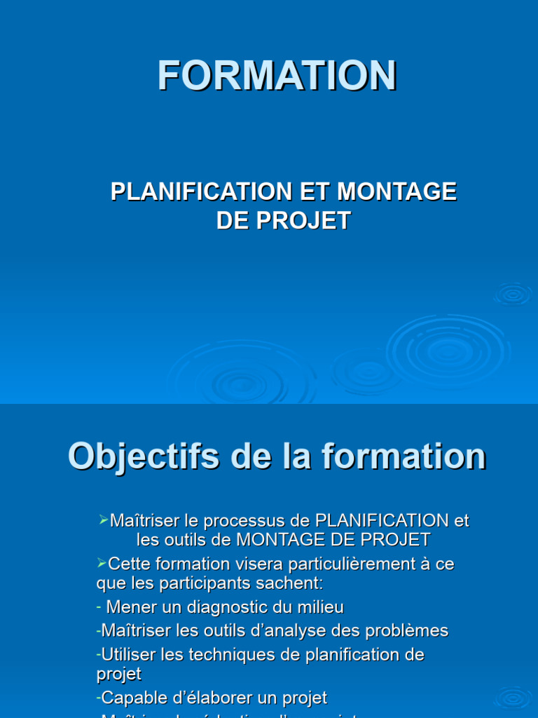 Formation en Montage de Projet | PDF | Planification | Budget