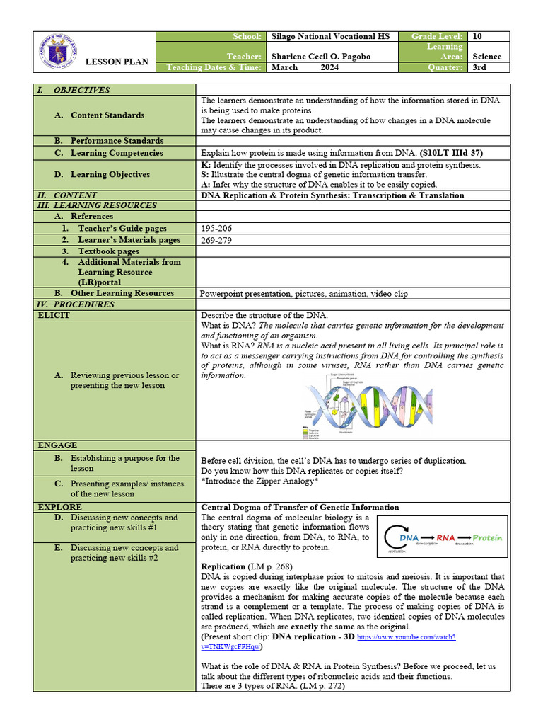 DNA & Protein Synthesis Lesson Plan | PDF | Translation (Biology) | Rna