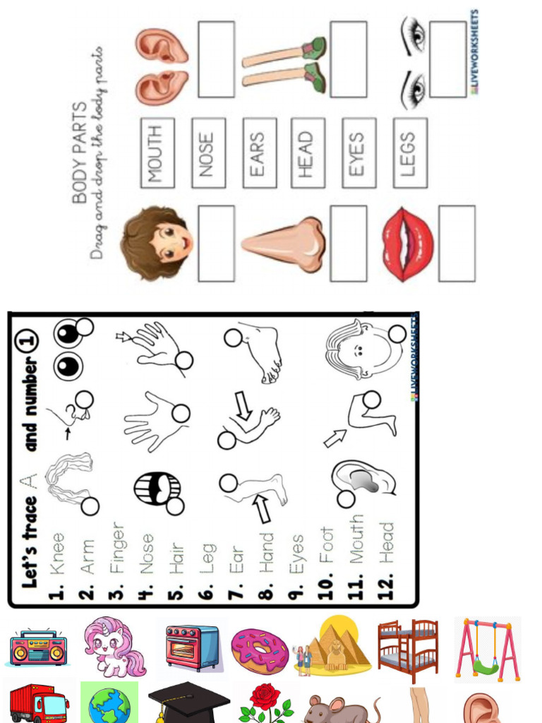Auto Dictado Isabel Lenguaje 3 | PDF