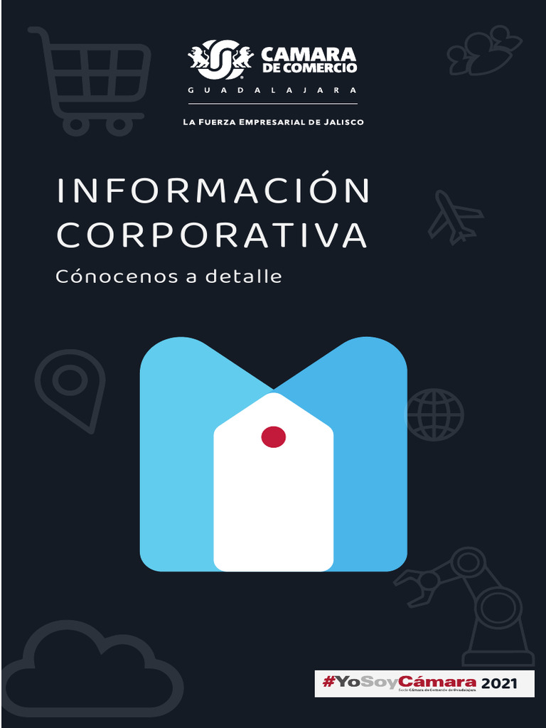 Informacion Corporativa 2021 Pdf Comercio Business