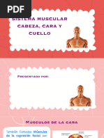 Músculos de Cabeza y Cuello | PDF | Anatomía humana | Sistema esquelético
