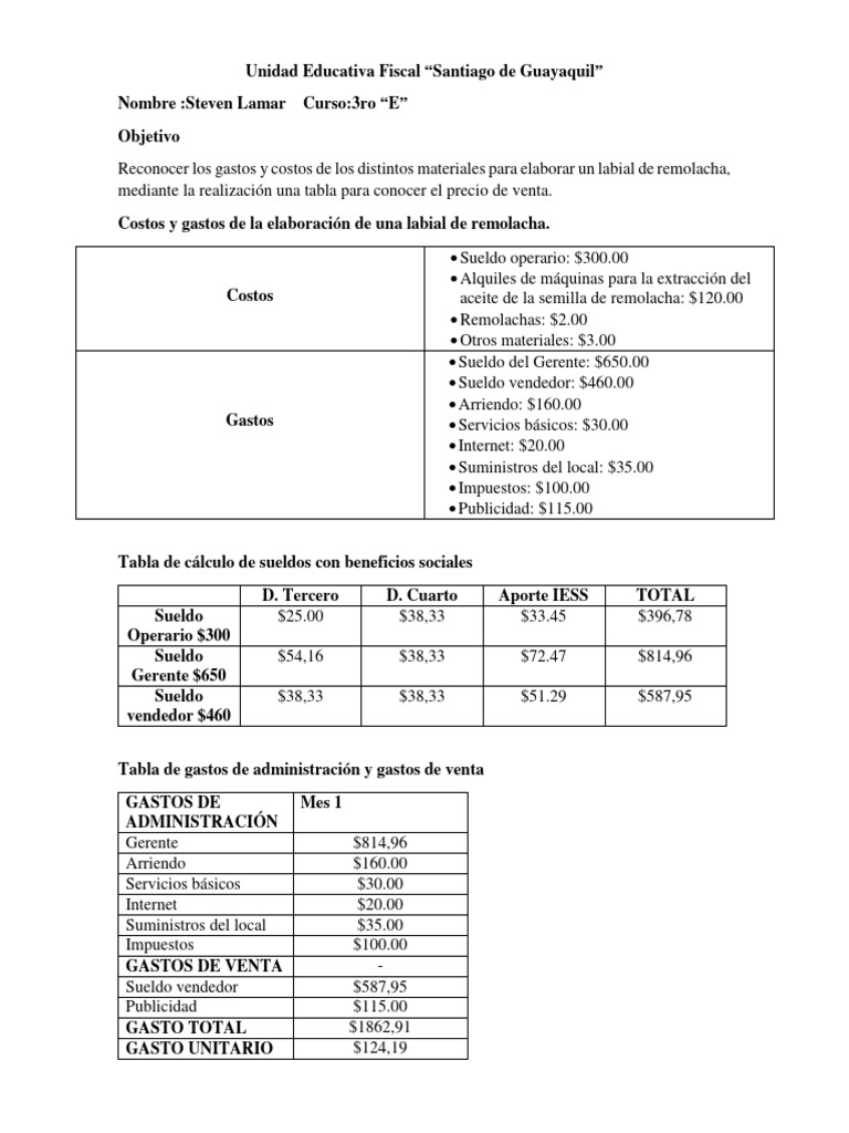 Emprenimiento Steve | PDF | Economias