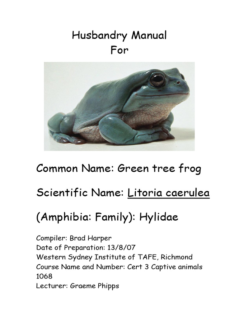 Amphibians. Green Tree Frog 2008BH | PDF | Frog | Water