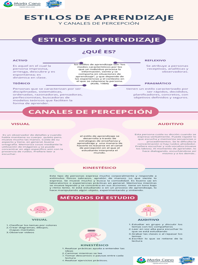 Estilos de Aprendizaje y Canales de Percepción | PDF | Aprendizaje | Aprendiendo estilos