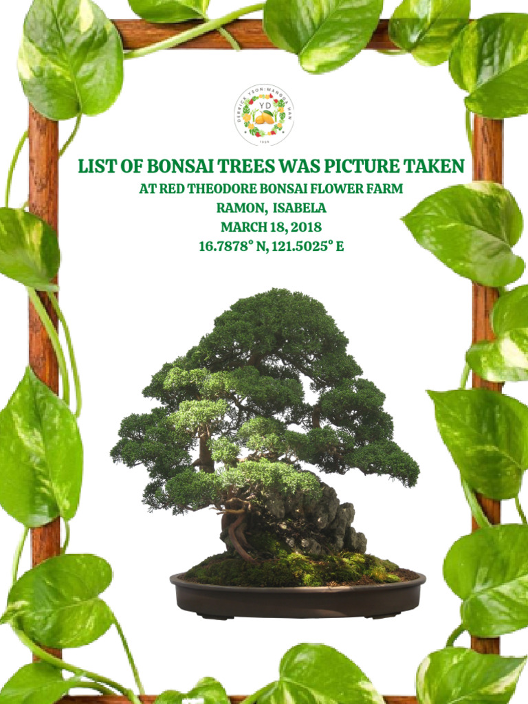 List of Bonsai Trees Was Picture Taken at Red Theodore Bonsai Farm | PDF
