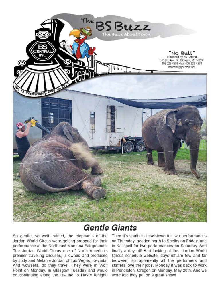 BS Buzz | Download Free PDF | Elephant | Airport