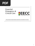 Sarnat Scoring Tool: Normal/Mild Moderate HIE Severe HIE | PDF ...