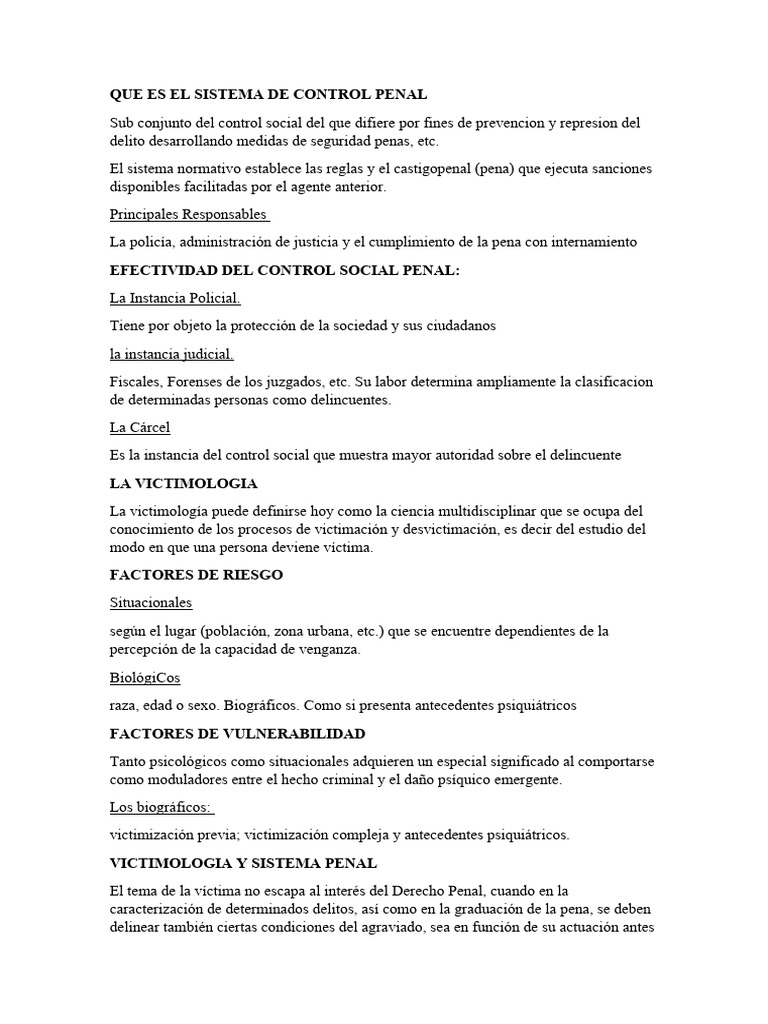 Que Es El Sistema de Control Penal Resumen Del Grupo 2 | PDF | Derecho ...