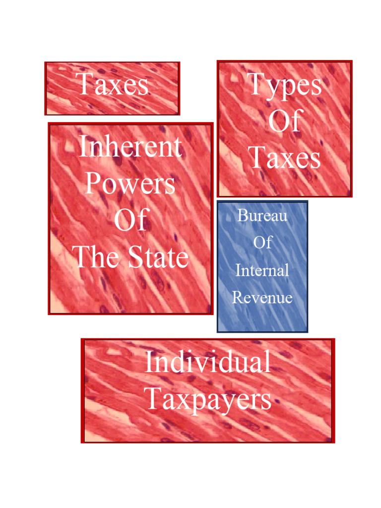FABM Heart Assets | Download Free PDF | Taxes | Taxpayer FABM Heart Assets | Download Free PDF | Taxes | Taxpayer