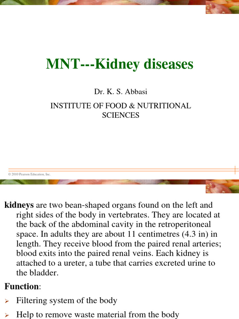 MNT Kidney | Download Free PDF | Chronic Kidney Disease | Hypertension