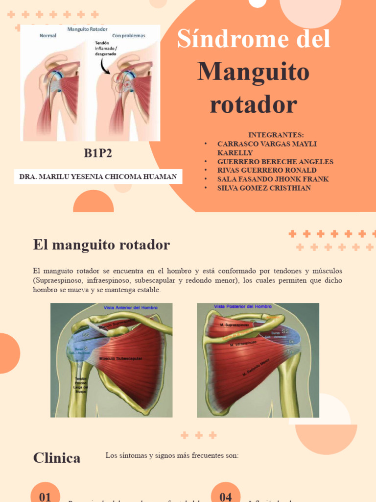 Síndrome del Manguito Rotador: Diagnóstico y Tratamiento | PDF | Hombro ...