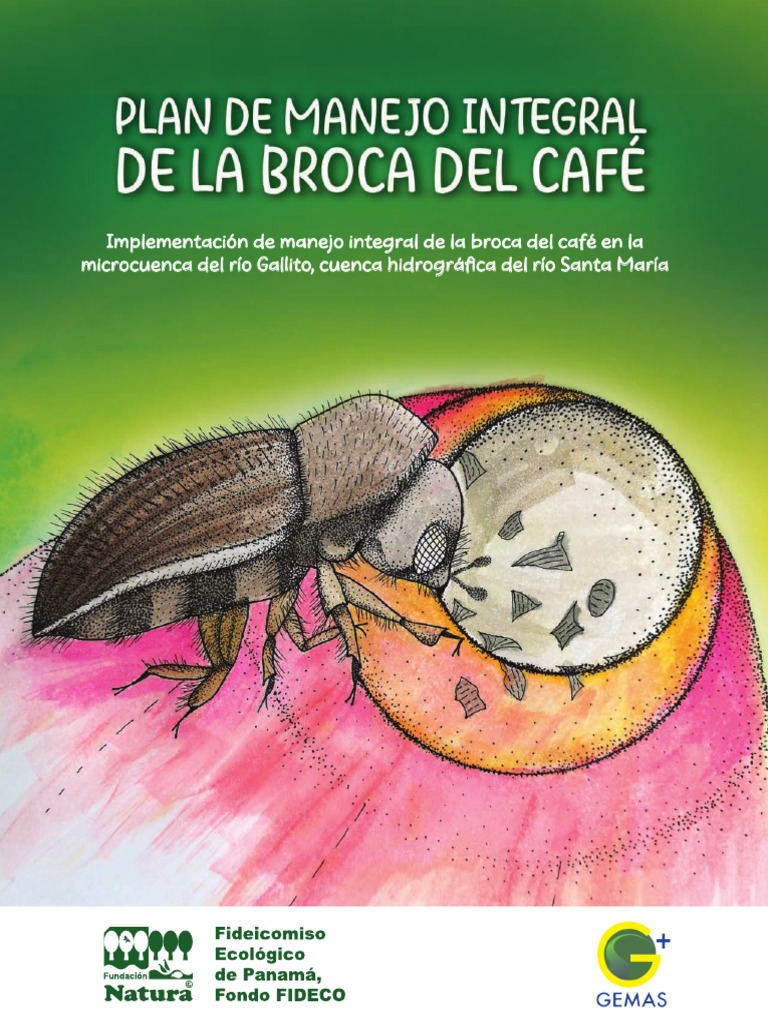Manejo de Broca del Café en Río Gallito | PDF | café