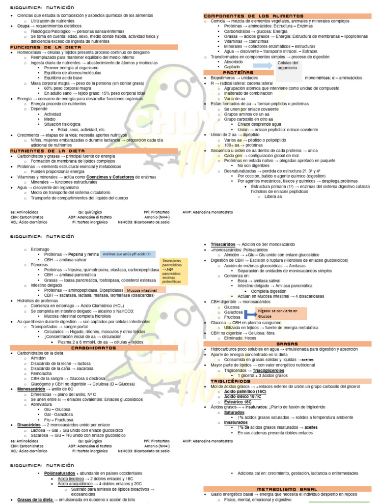Tema 4 Nutricion | PDF | Digestión | Trifosfato de adenosina