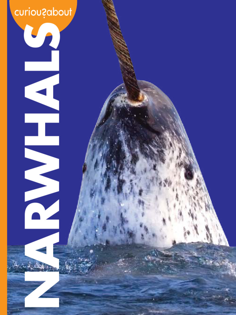 Curious About Narwhals (Curious About Wild Animals) | PDF | Cetaceans