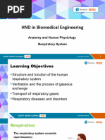 Structure and Function of The Gas Exchange System - Respiration and Gas ...